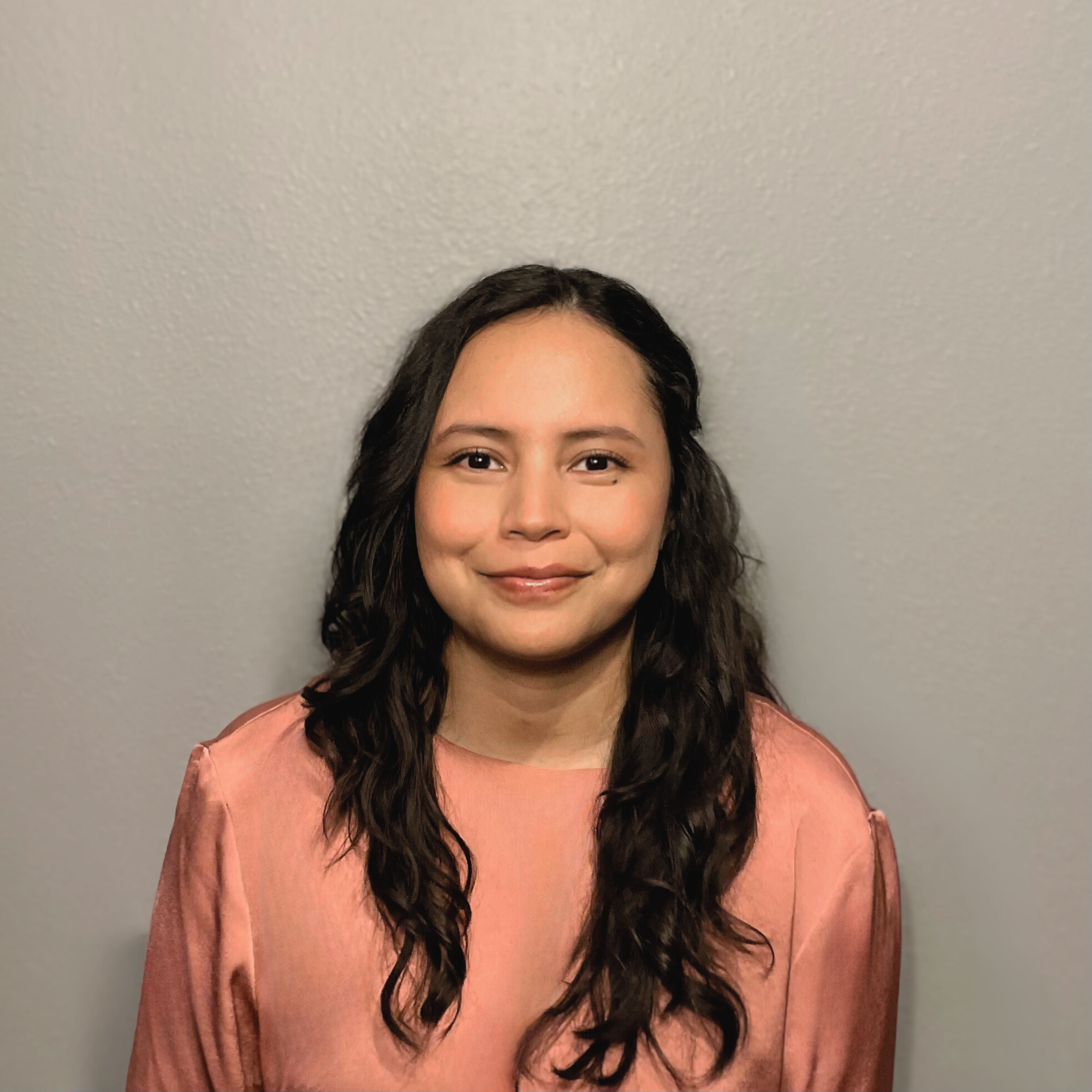 About Us - CivicSpark